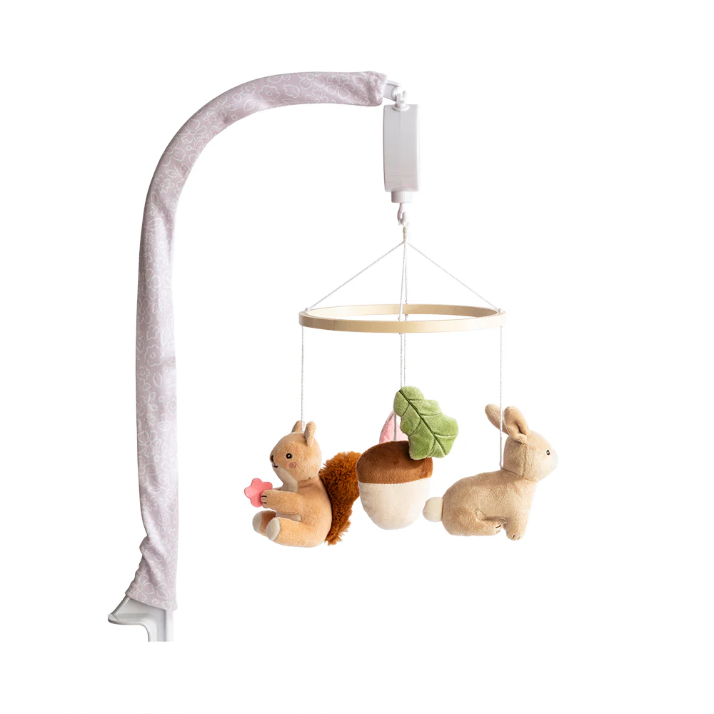 Living Textiles Musical Mobile Set Whimsical Wonderland | Babyroad